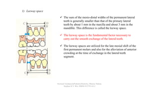 Occlusal guidance | PDF