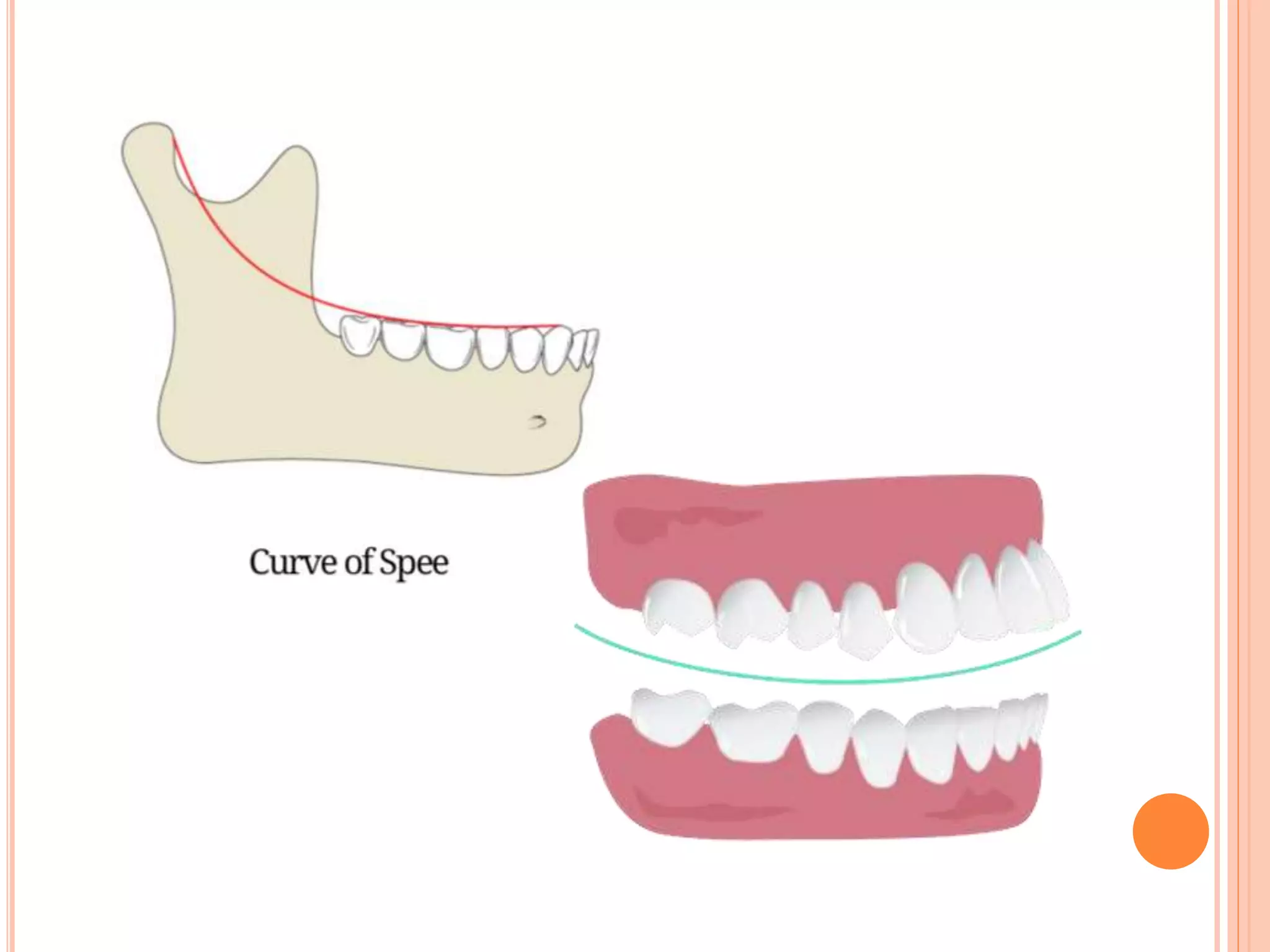 Occlusal planes and compensating curves | PPTX