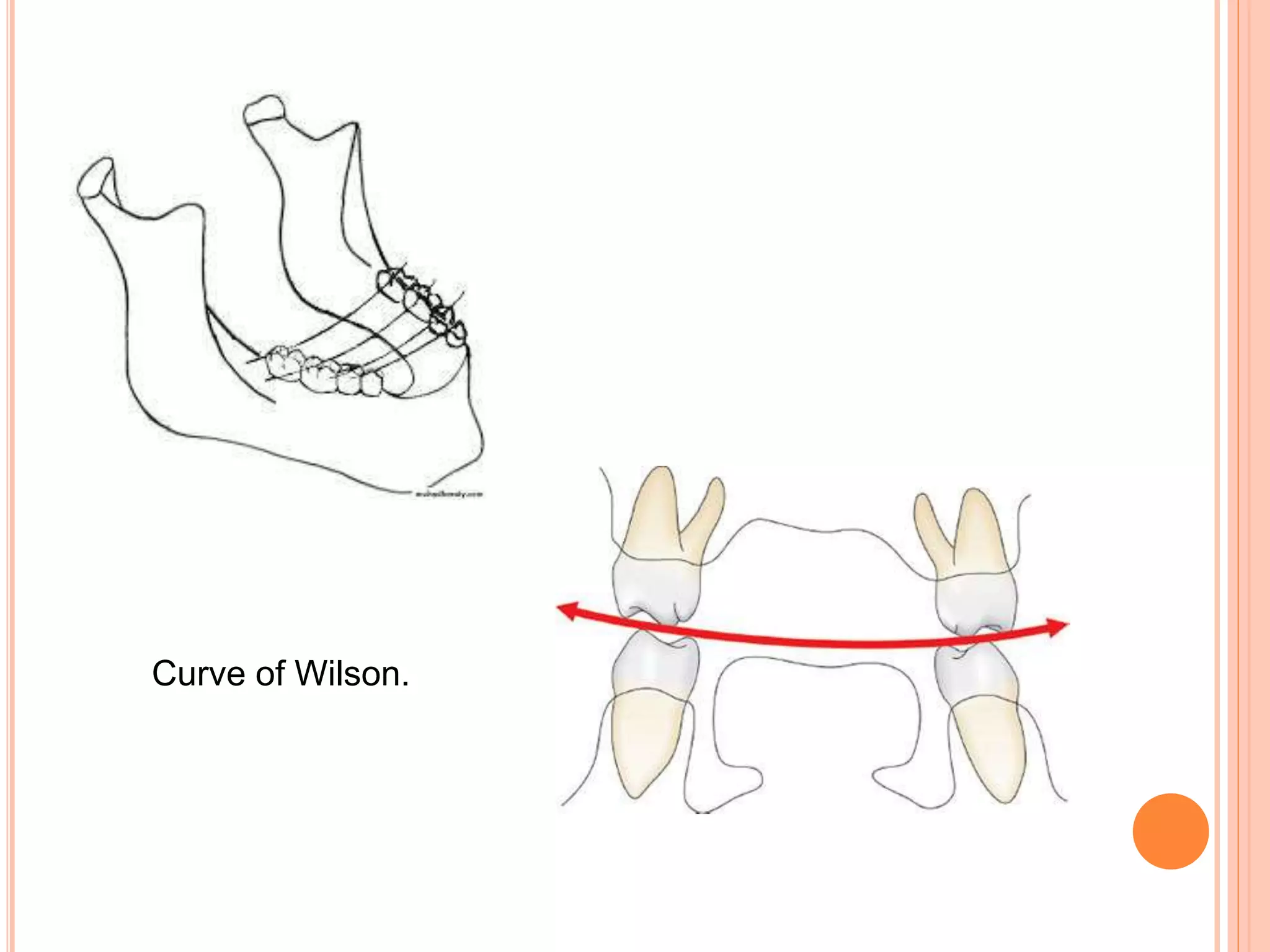 Occlusal planes and compensating curves | PPTX