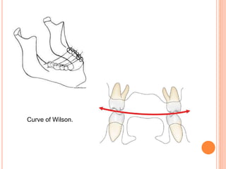 Occlusal planes and compensating curves | PPTX