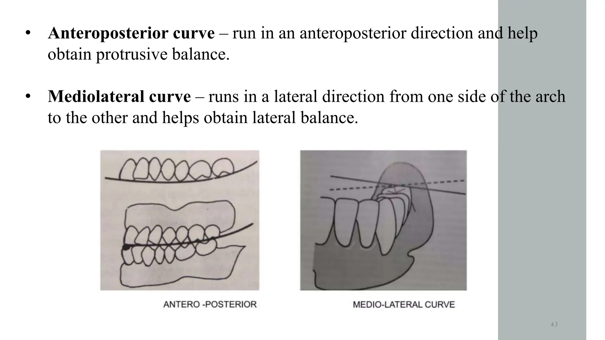 Occlusal schemes in CD_Dr Shuchi Jain.pptx