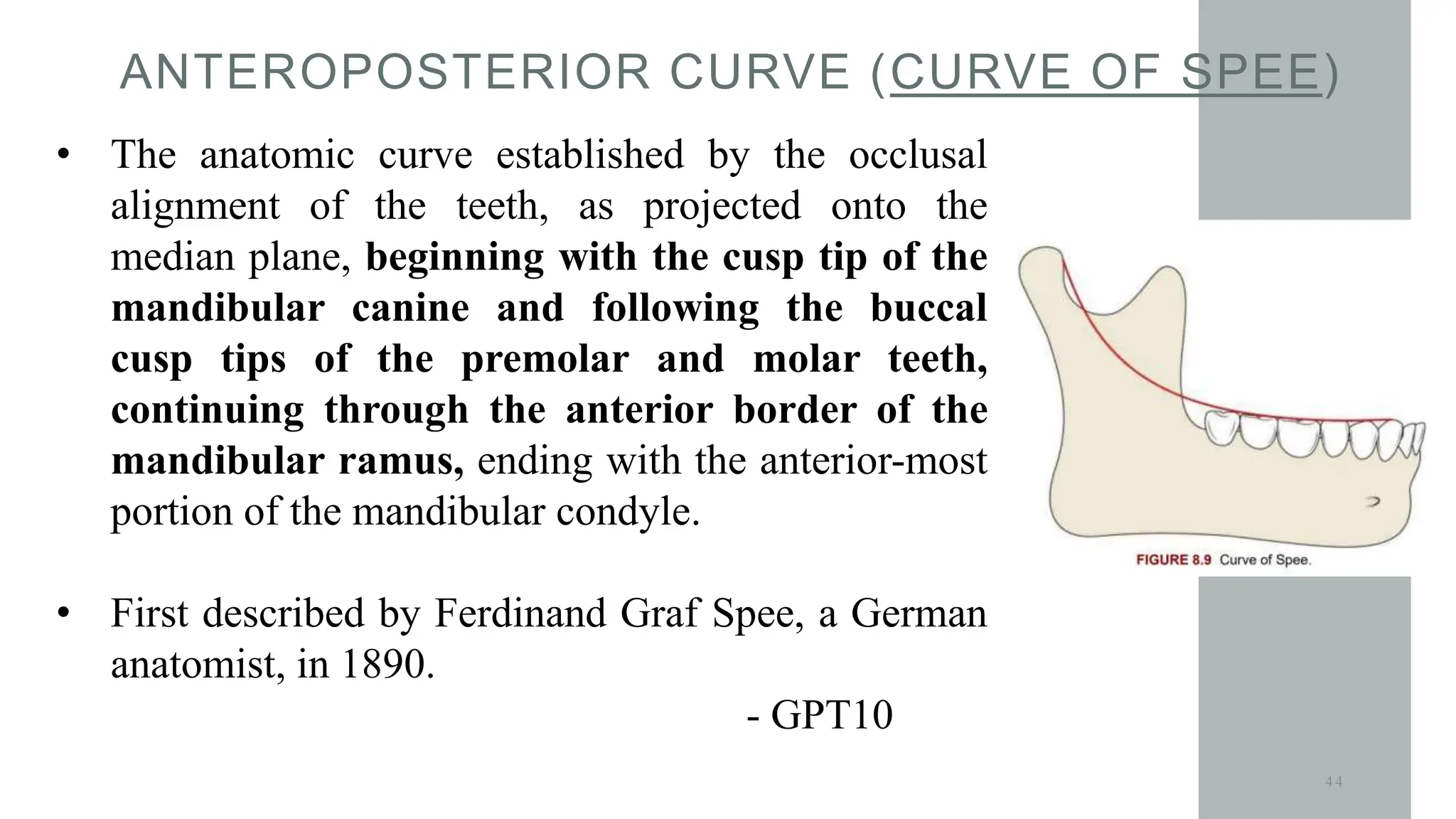 Occlusal schemes in CD_Dr Shuchi Jain.pptx