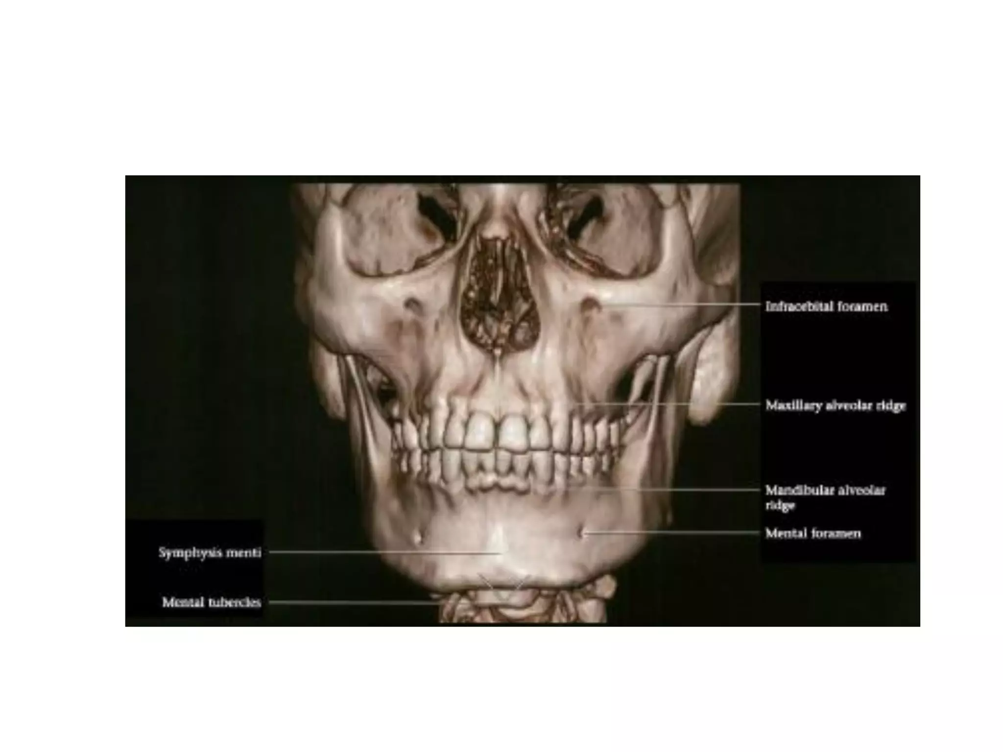 Occlusal techniques | PDF