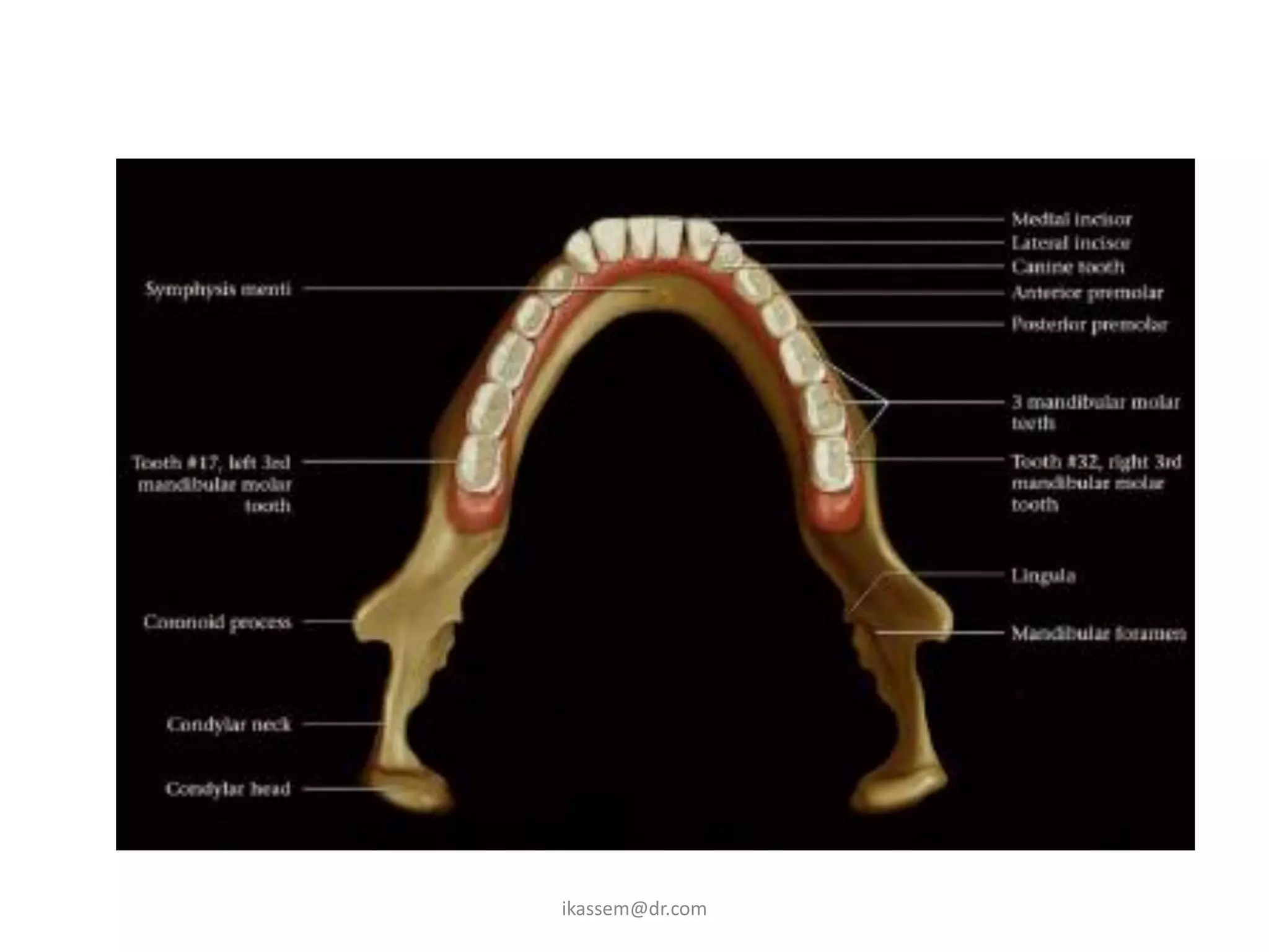 Occlusal techniques | PDF