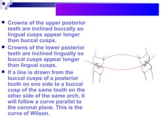 09. Occlusion (CD) - Dentition | PPT