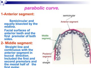 09. Occlusion (CD) - Dentition | PPT