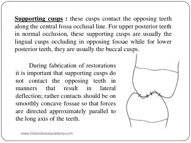 Occlusion