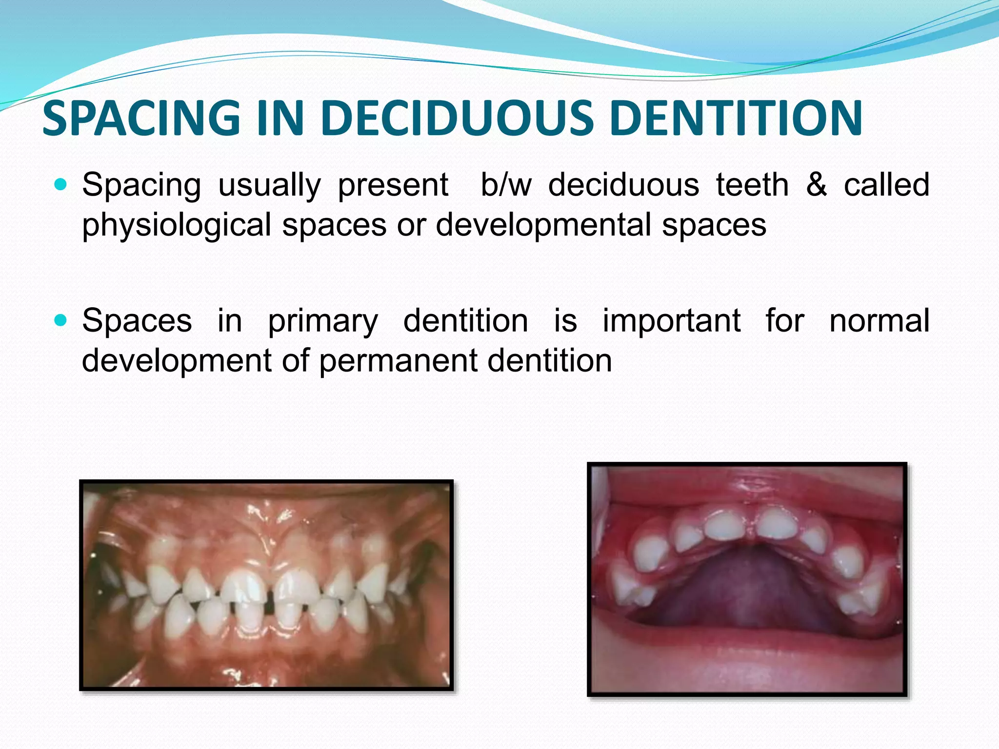 Development of Occlusion | PPTX