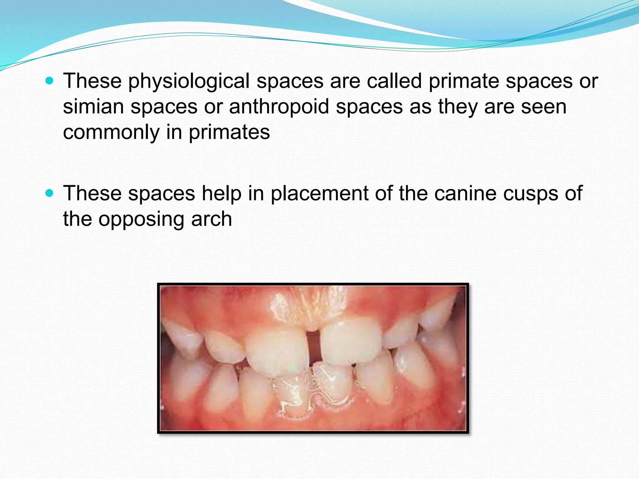 Development of Occlusion | PPTX