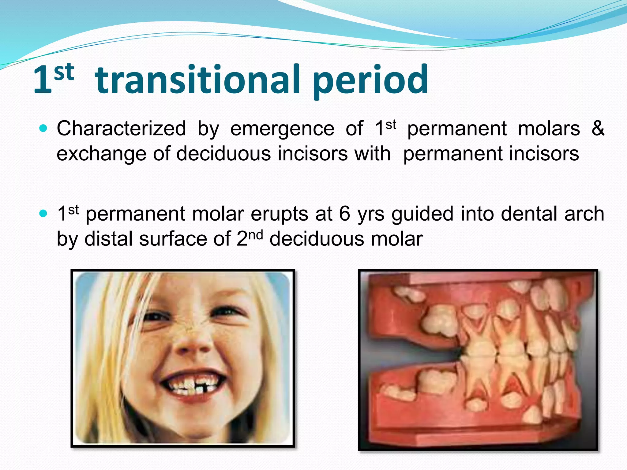 Development of Occlusion | PPTX