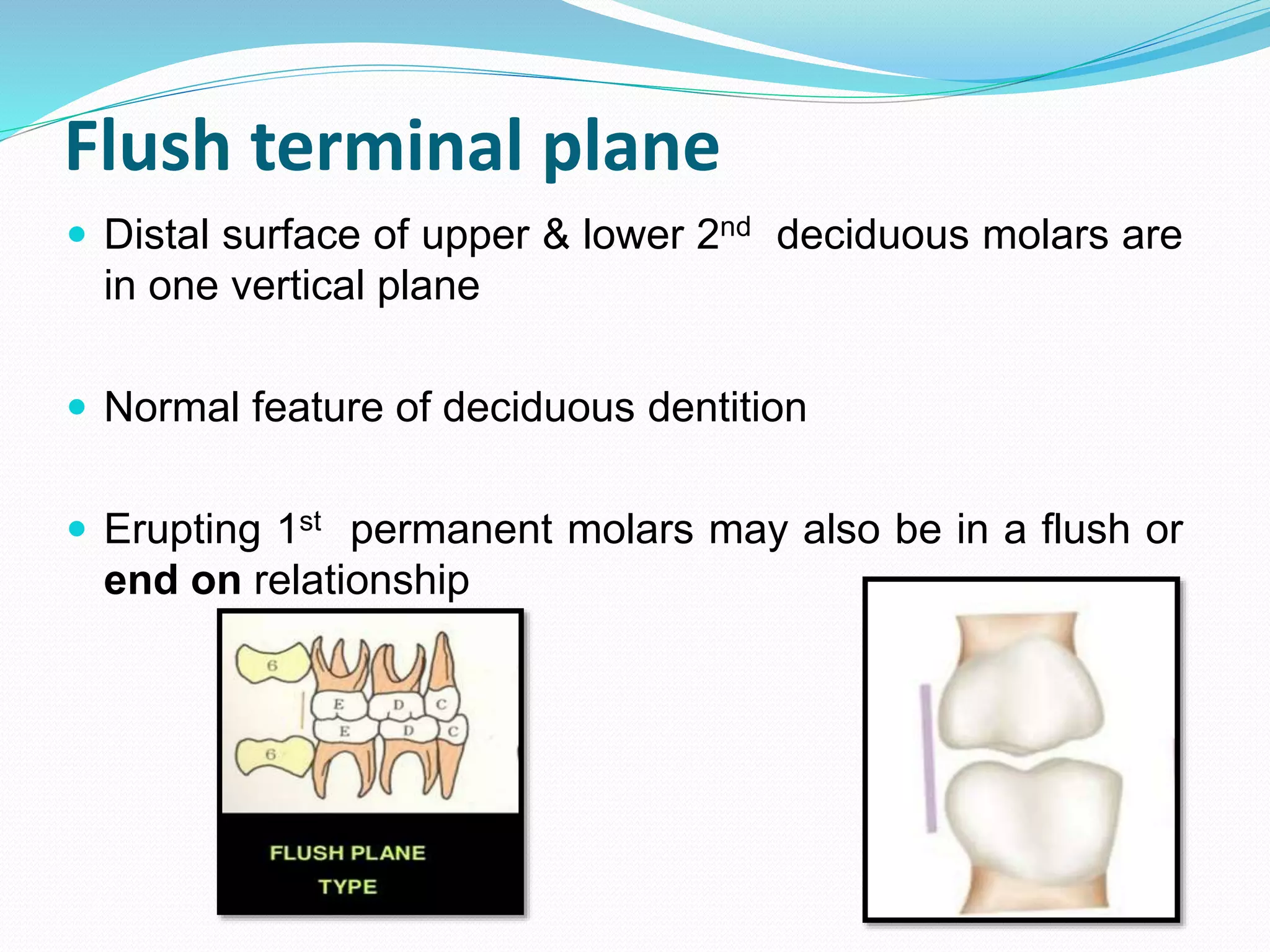 Development of Occlusion | PPTX