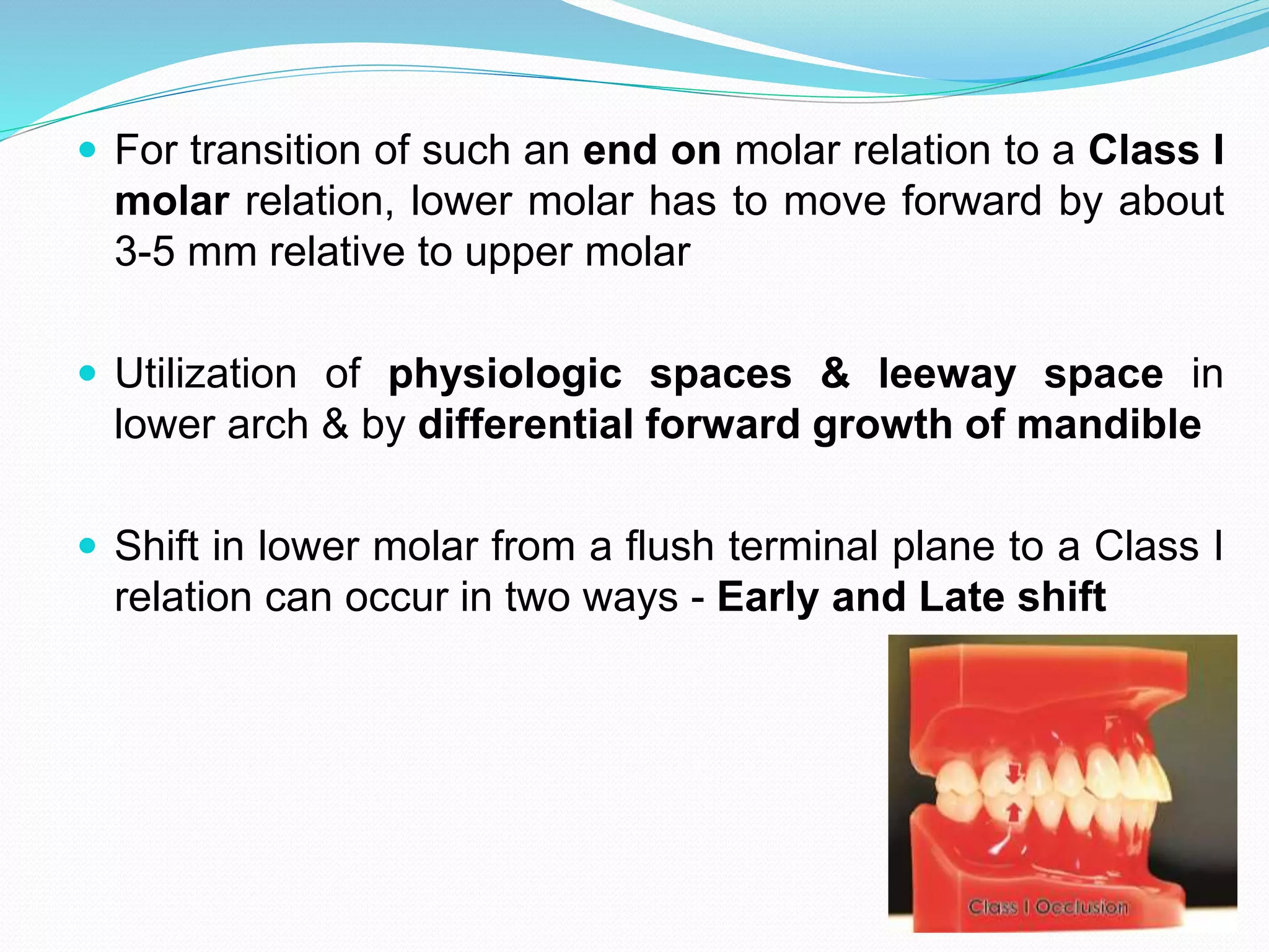 Development of Occlusion | PPTX