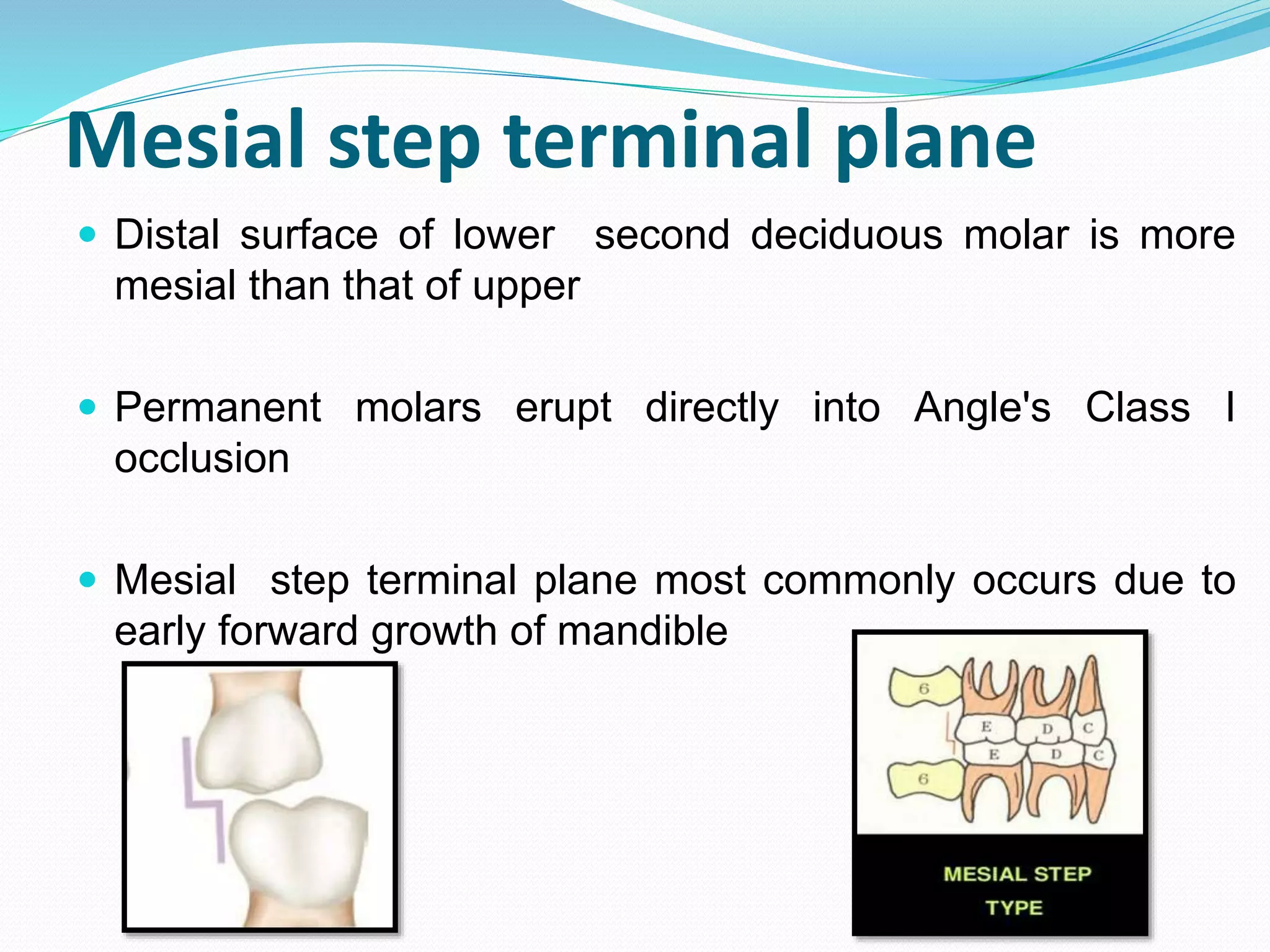 Development of Occlusion | PPTX