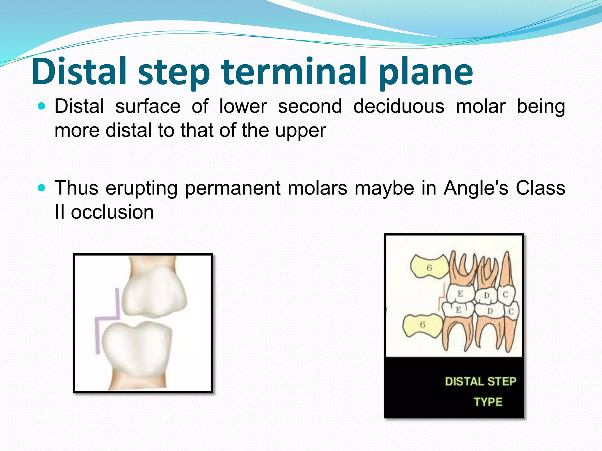 Development of Occlusion | PPTX