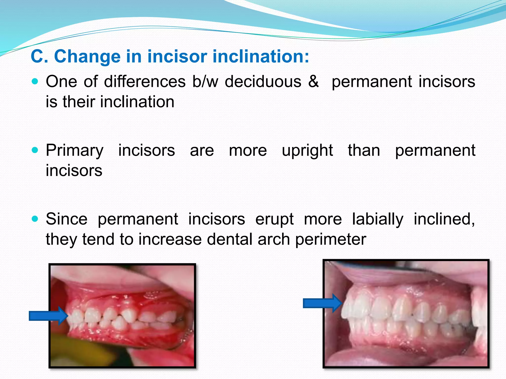Development of Occlusion | PPTX