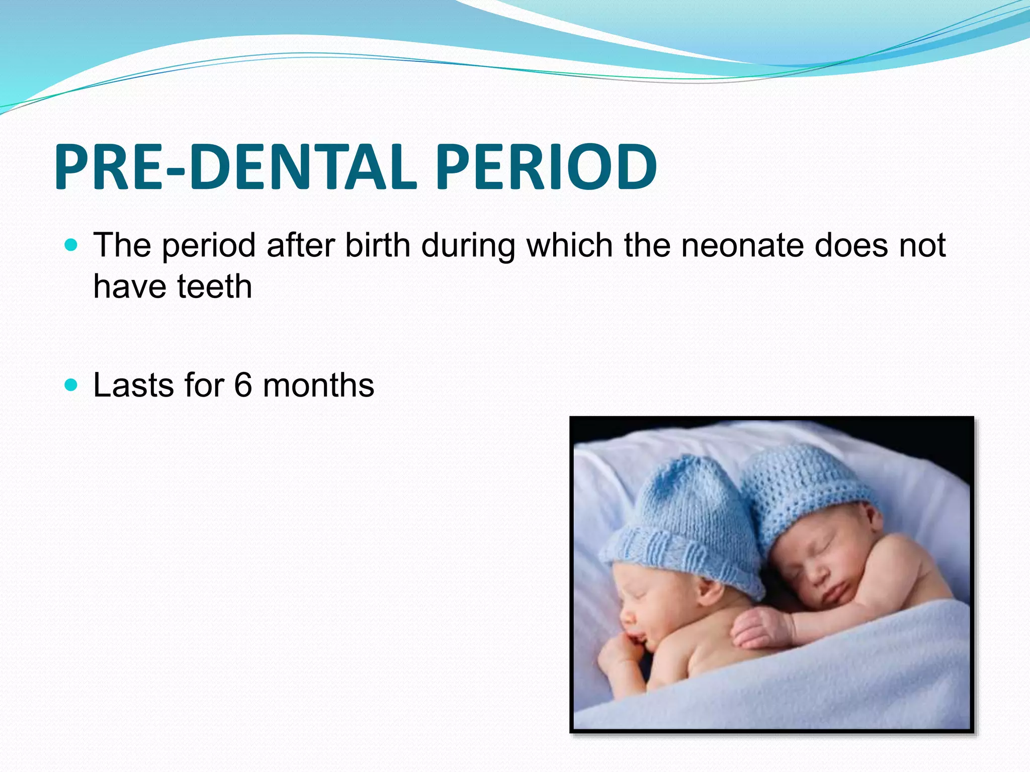 Development of Occlusion | PPTX