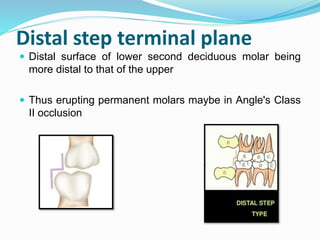 Development of Occlusion | PPTX
