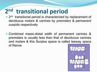 Development of Occlusion | PPTX