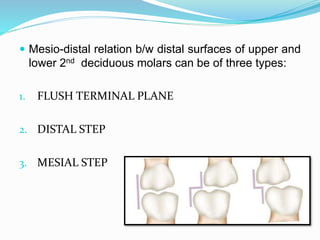 Development of Occlusion | PPT