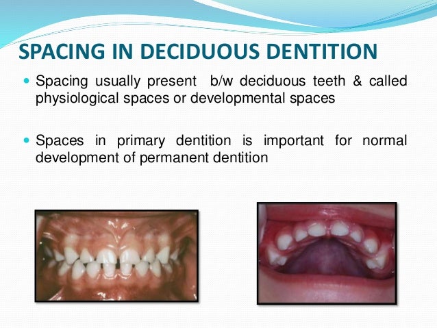 Development of Occlusion