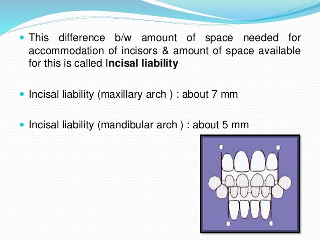 Development of Occlusion