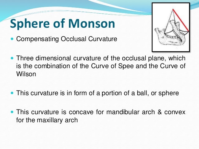 Development of Occlusion
