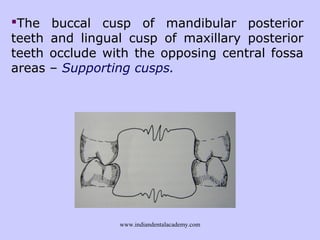Occlusion./ orthodontic continuing education | PPT | Dental Health ...