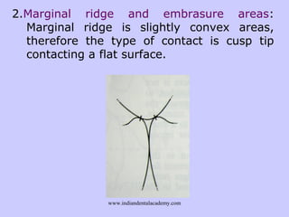 Occlusion./ orthodontic continuing education | PPT