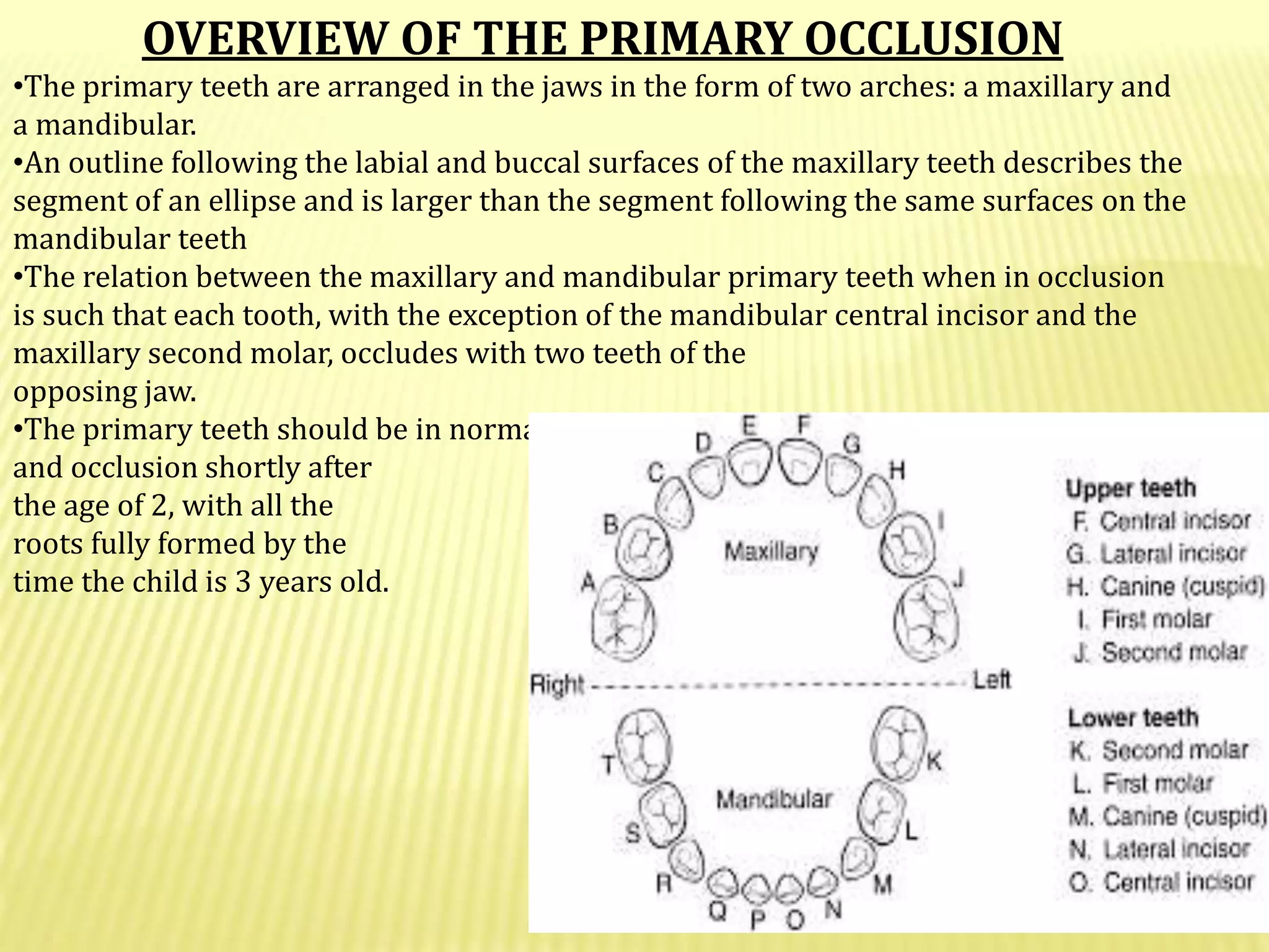 Occlusion | PPTX