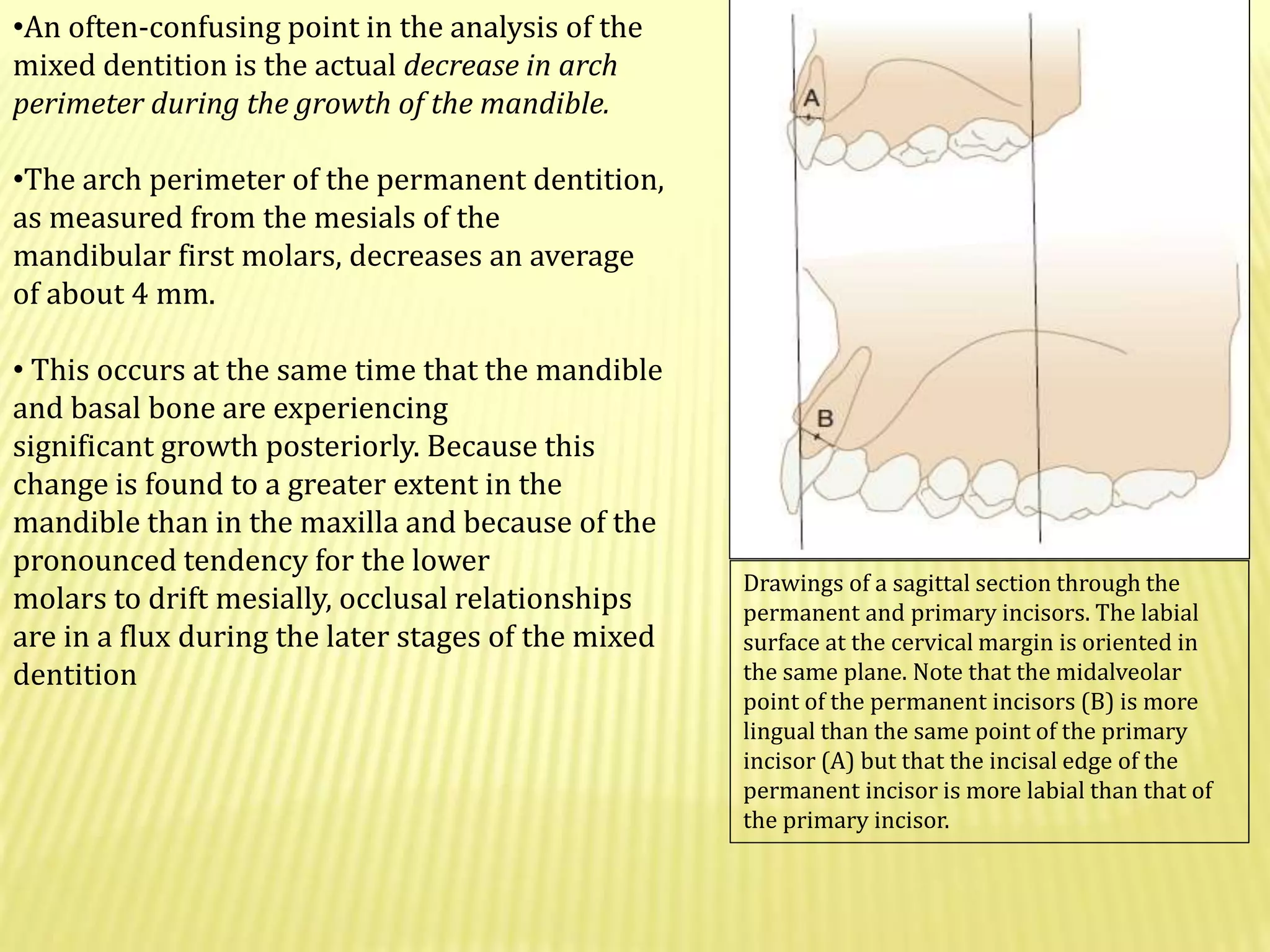 Occlusion | PPTX