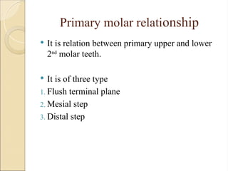 occlusion-2occlusion.occlusion-2occlusionppt | PPT