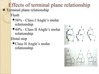 occlusion-2occlusion.occlusion-2occlusionppt | PPT