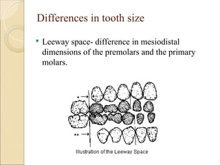 occlusion-2occlusion.occlusion-2occlusionppt | PPT