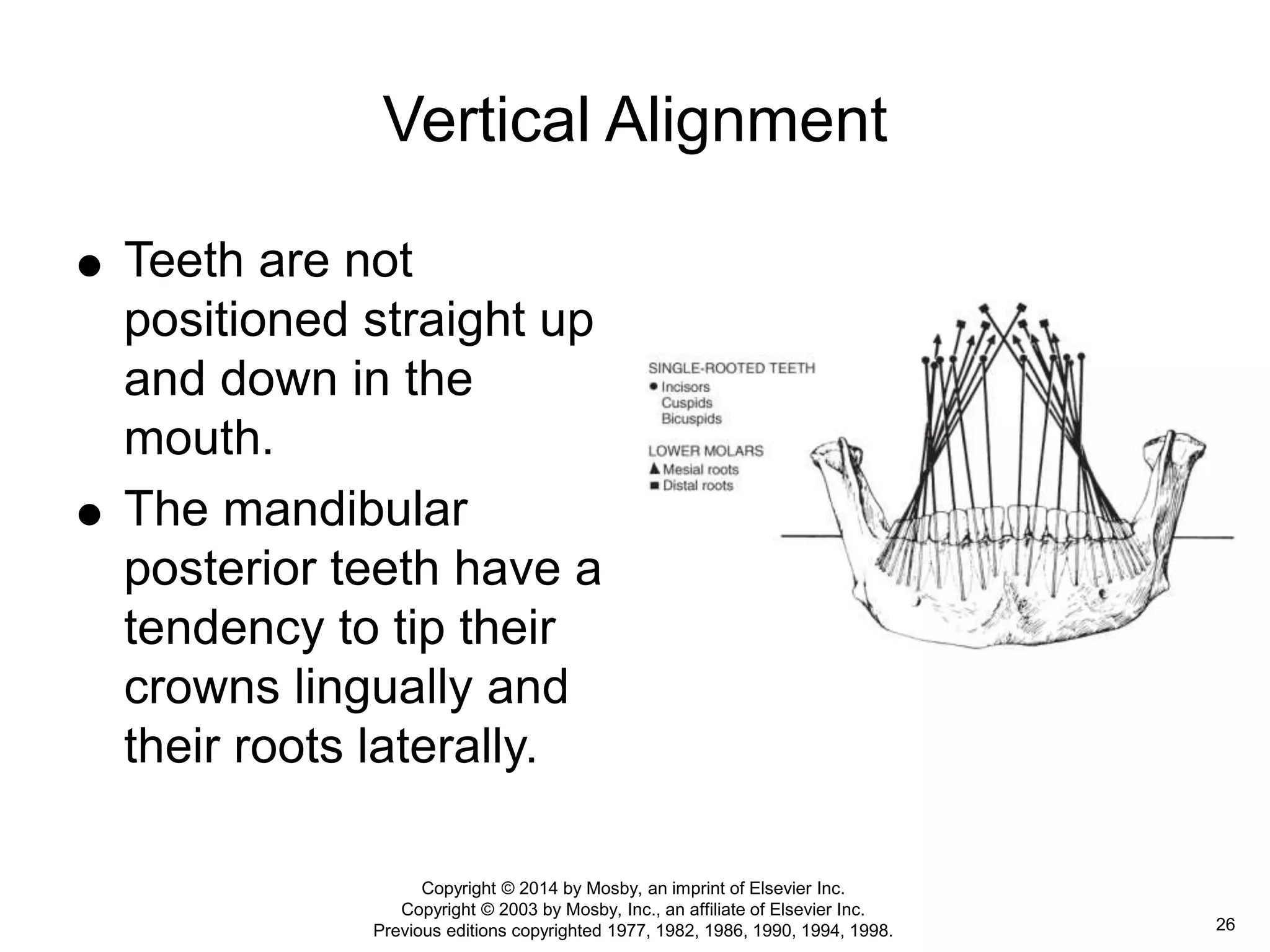 Basic Occlusion | PPTX