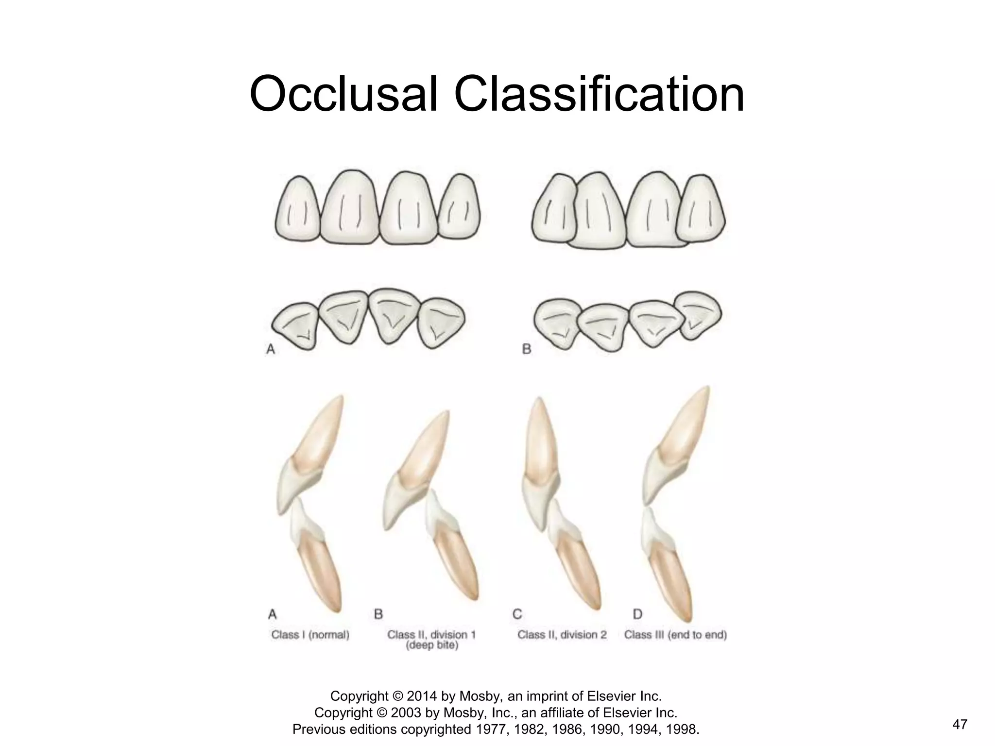 Basic Occlusion | PPT