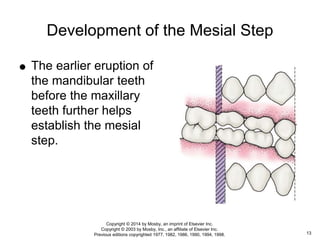 Basic Occlusion | PPTX
