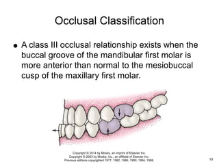 Basic Occlusion | PPT
