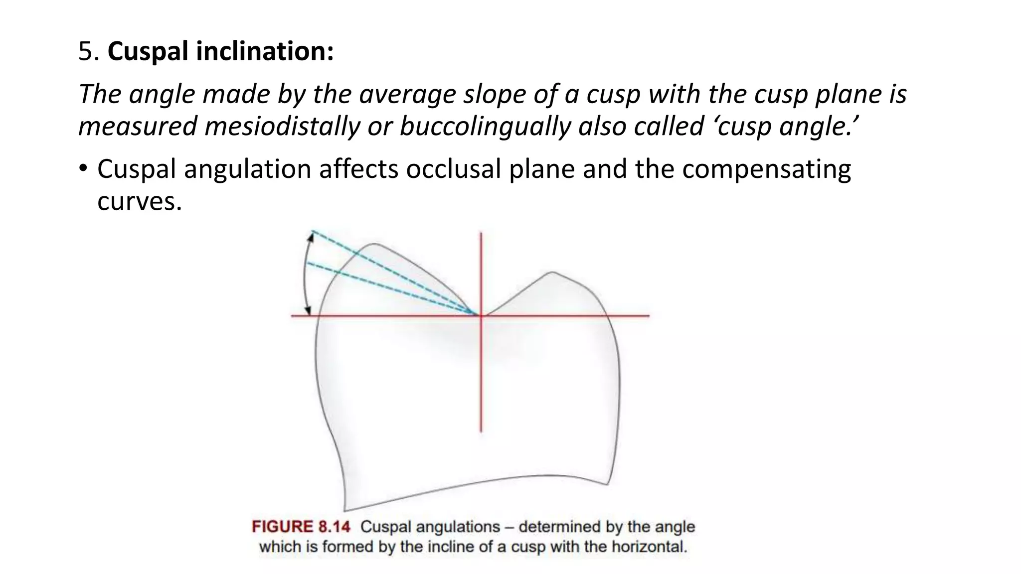 Occlusion in Complete denture | PPTX