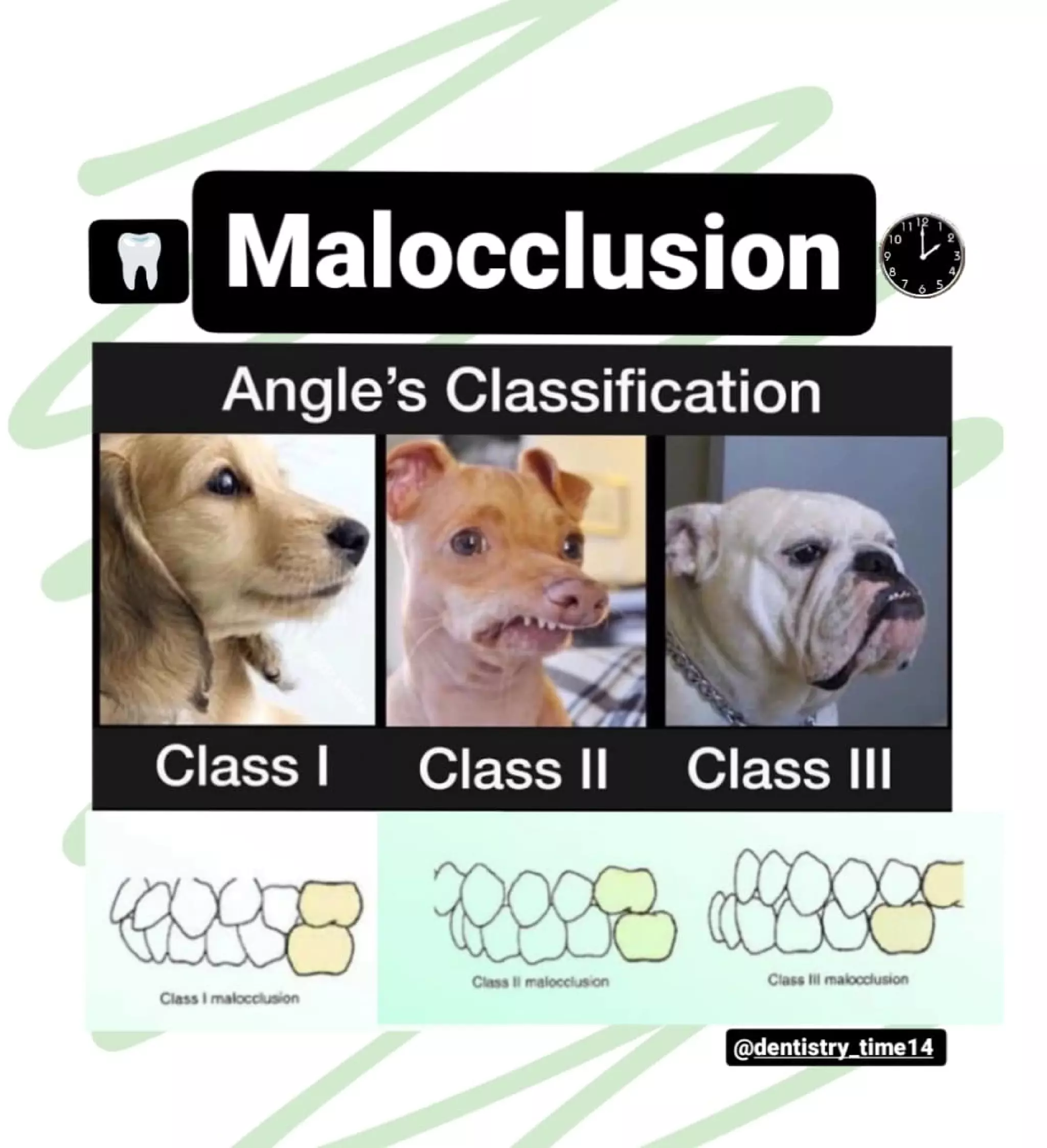 occlusion .pdf