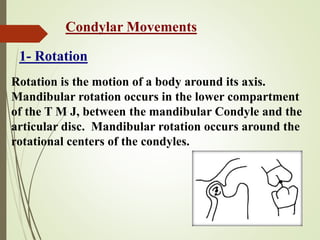 occlusion.pptx