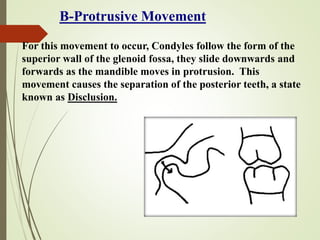 occlusion.pptx | Dental Health | Diseases and Conditions