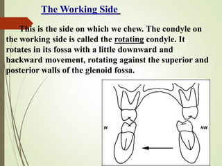 occlusion.pptx | Dental Health | Diseases and Conditions