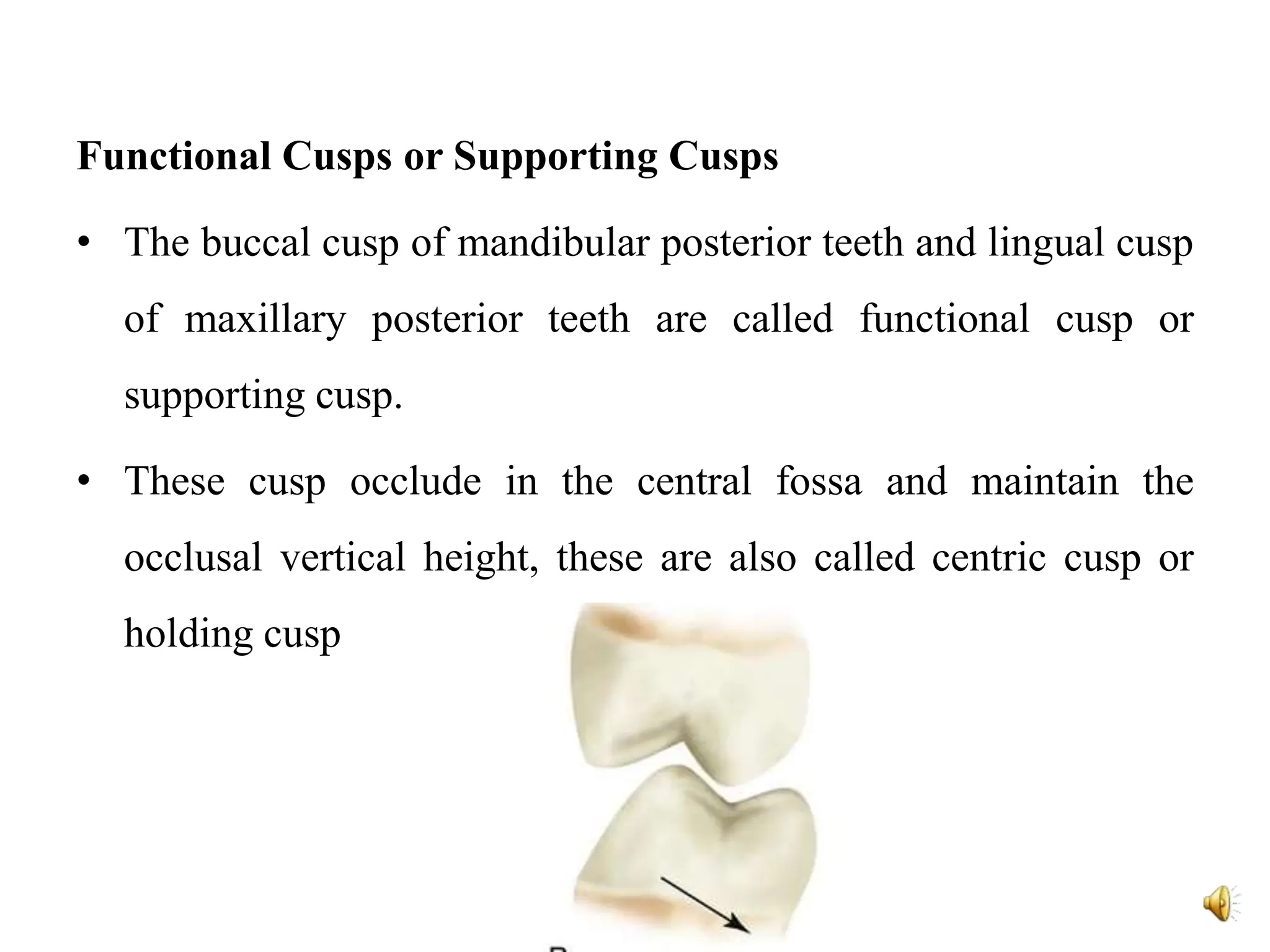 Occlusion and it's types and malocclusion | PPTX