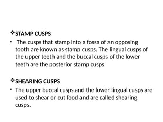 orthodontics definition,classificationOcclusion.pptx
