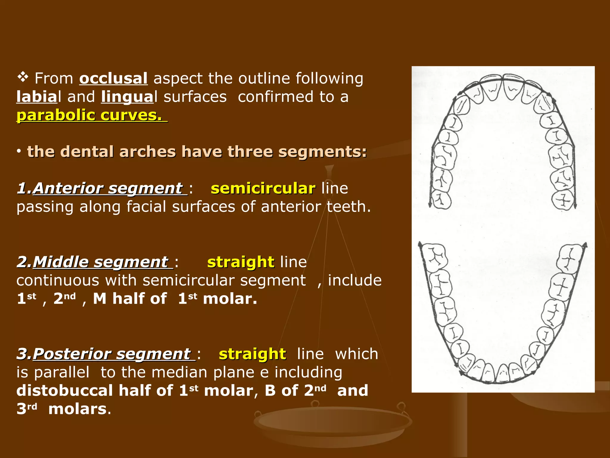 Dental Occlusion | PPT
