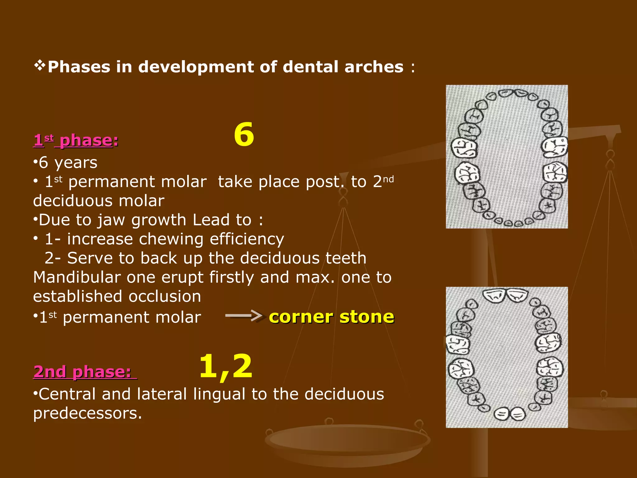 Dental Occlusion | PPT
