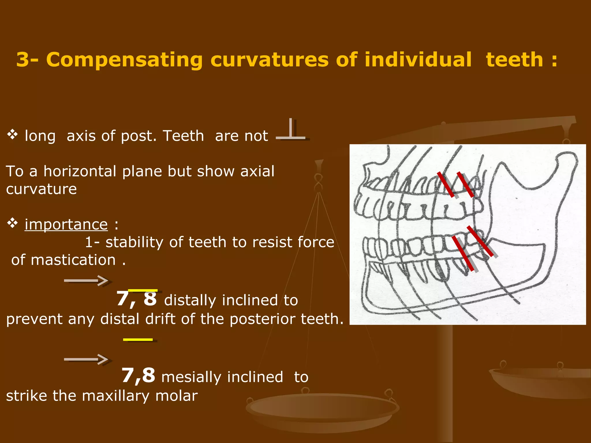 Dental Occlusion | PPT