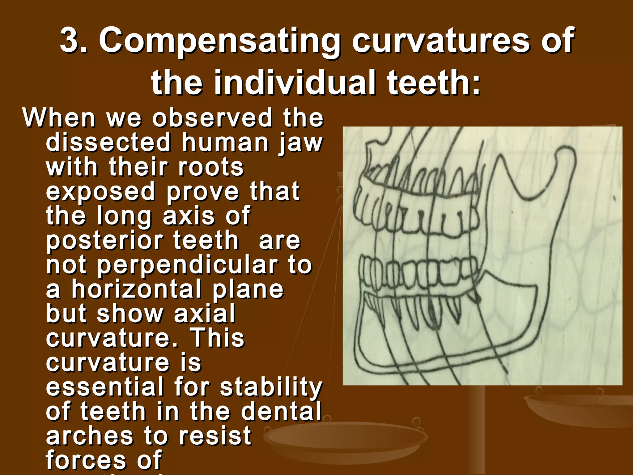 Dental Occlusion | PPT
