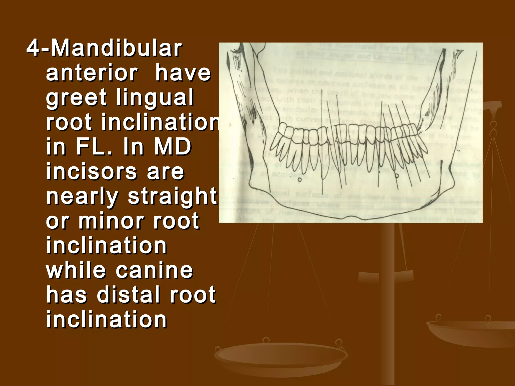 Dental Occlusion | PPT