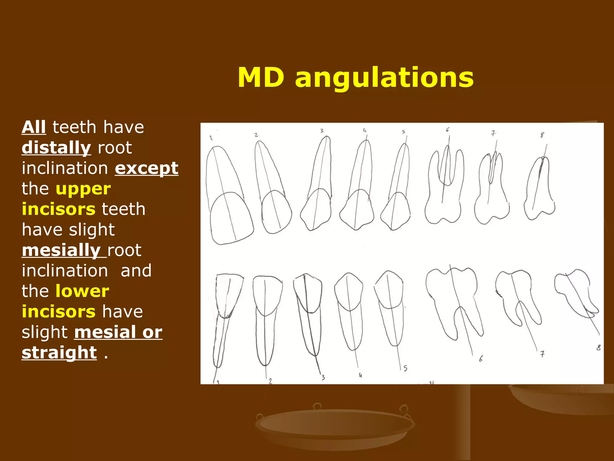 Dental Occlusion | PPT
